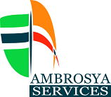 Ambrosya Services | IT Services & Disruptive Thinking